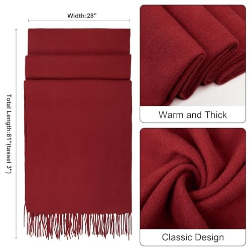 Womens Pashmina Shawls and Wraps for Evening Dresses Wedding Party Wine ...