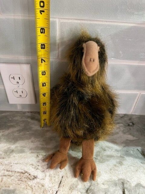 TY BEAK The Kiwi Beanie Buddy Retired 1998 Vintage | eBay