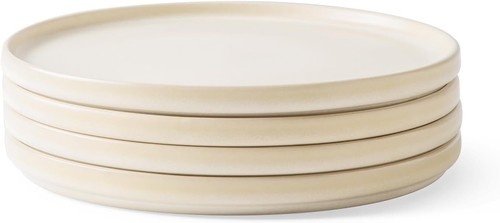 Stoneware Dinner Plates Set of 4, 10.25 Inch Reactive Matte Glaze ...