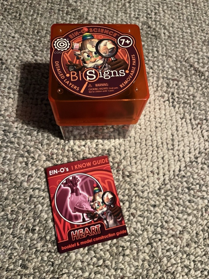 Bio Signs Ein-O Science Torso Detailed Sections Human Body Study | eBay