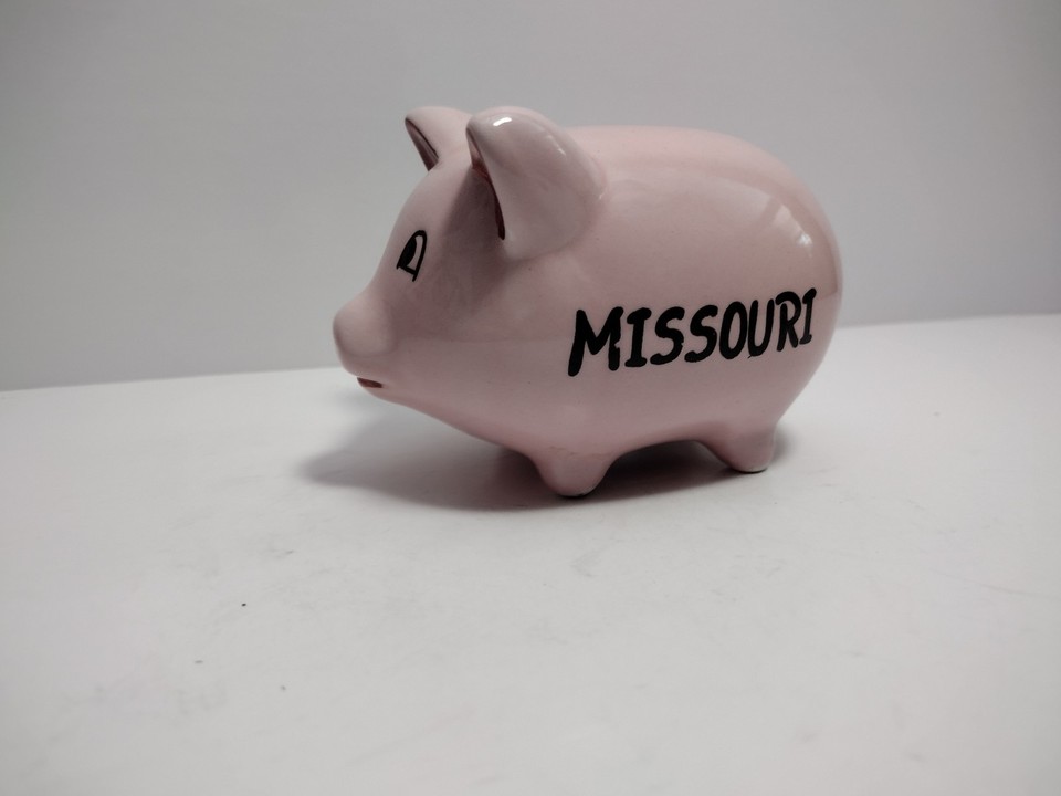 Little Pink Piggy Bank Nothing Special But Those Eyes 👀 & Missouri On ...