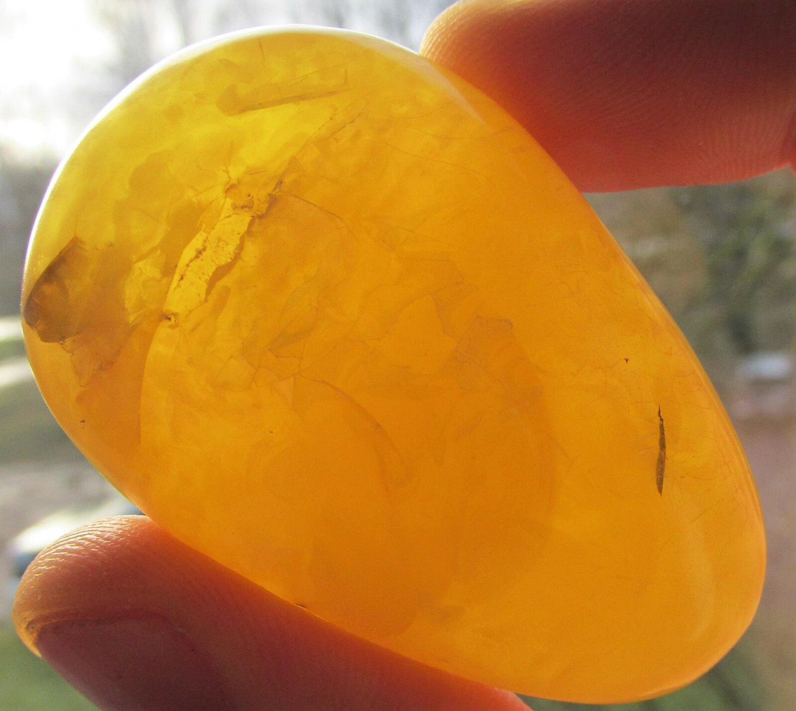 Natural Polished Butterscotch Egg Yolk Baltic Amber Stone 29.2g. | eBay UK
