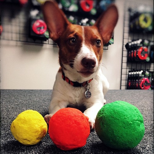 WUNDERBALL Best Dog Ball Fetch Toy Cleans Teeth Floats Indestructible ...