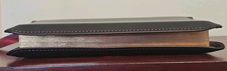 LSB Handy Size Verse-By-Verse Cowhide Premium Rebind By PTL Post ...