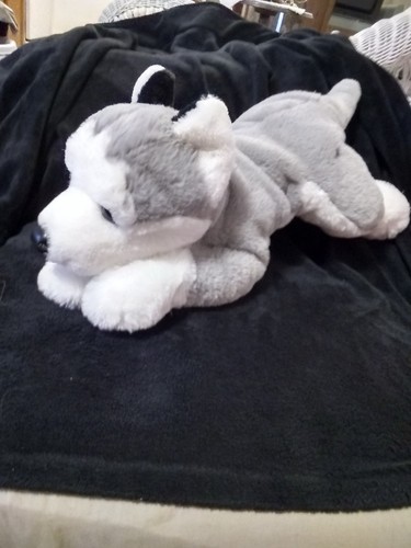 FAO Schwarz Husky Dog Timber Wolf Plush Lay Flat 15” Stuffed Animal ...