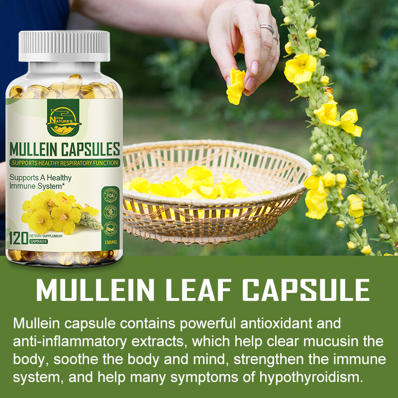 Mullein Leaf Capsules For Lung Cleansing & Detox Herbal Dietary ...