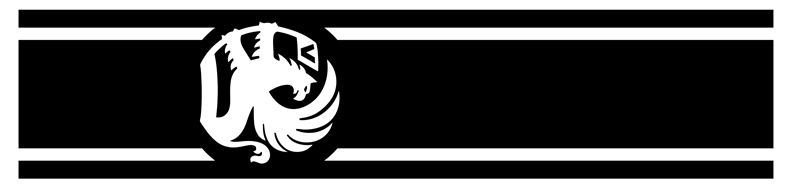 For Vauxhall Car Bonnet Racing Stripes Decals Stickers Graphic | eBay UK