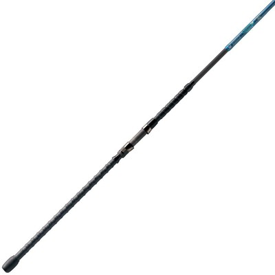 Spinning Rods - 10' Surf