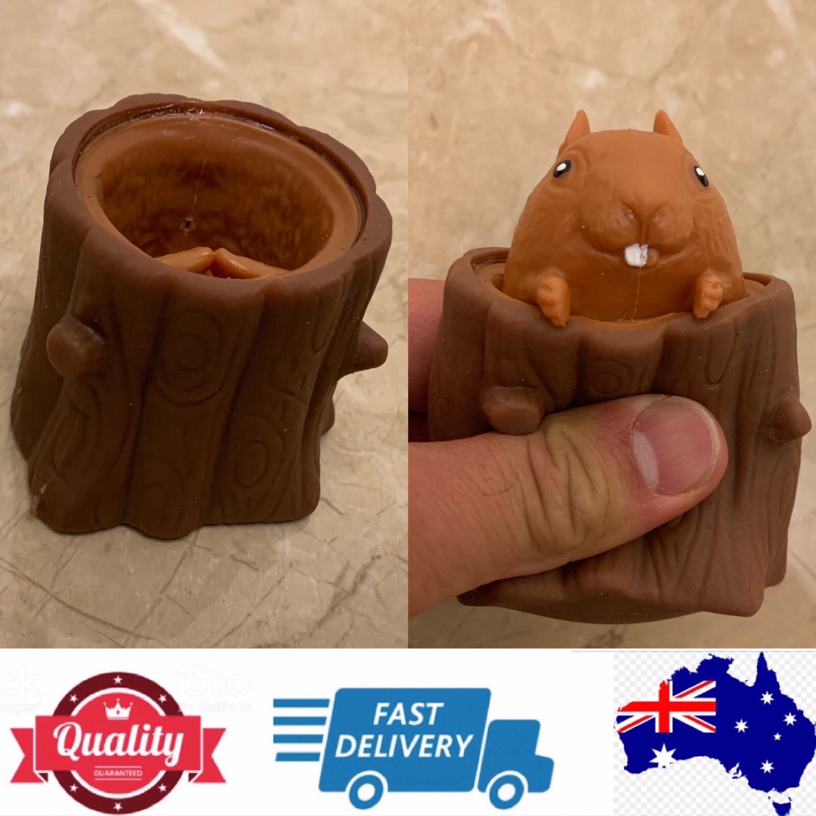 Cute Squeeze Squirrel Cup Kids Fidget Toy ADHD Stress Relief, AU Stock ...