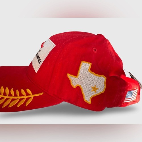 2013 Formula 1 United States Grand Prix Hat Cap Circuit of the Americas ...