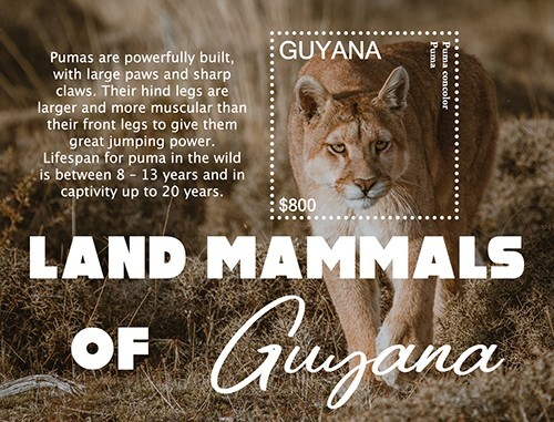 Guyana 2021 - Land Mammals Animals Puma - Souvenir Stamp Sheet Scott ...