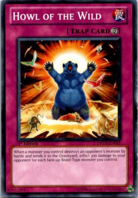 Howl Of The Wild DREV-EN065 Yu-Gi-Oh! Card Moderate Play 1st Edition | eBay