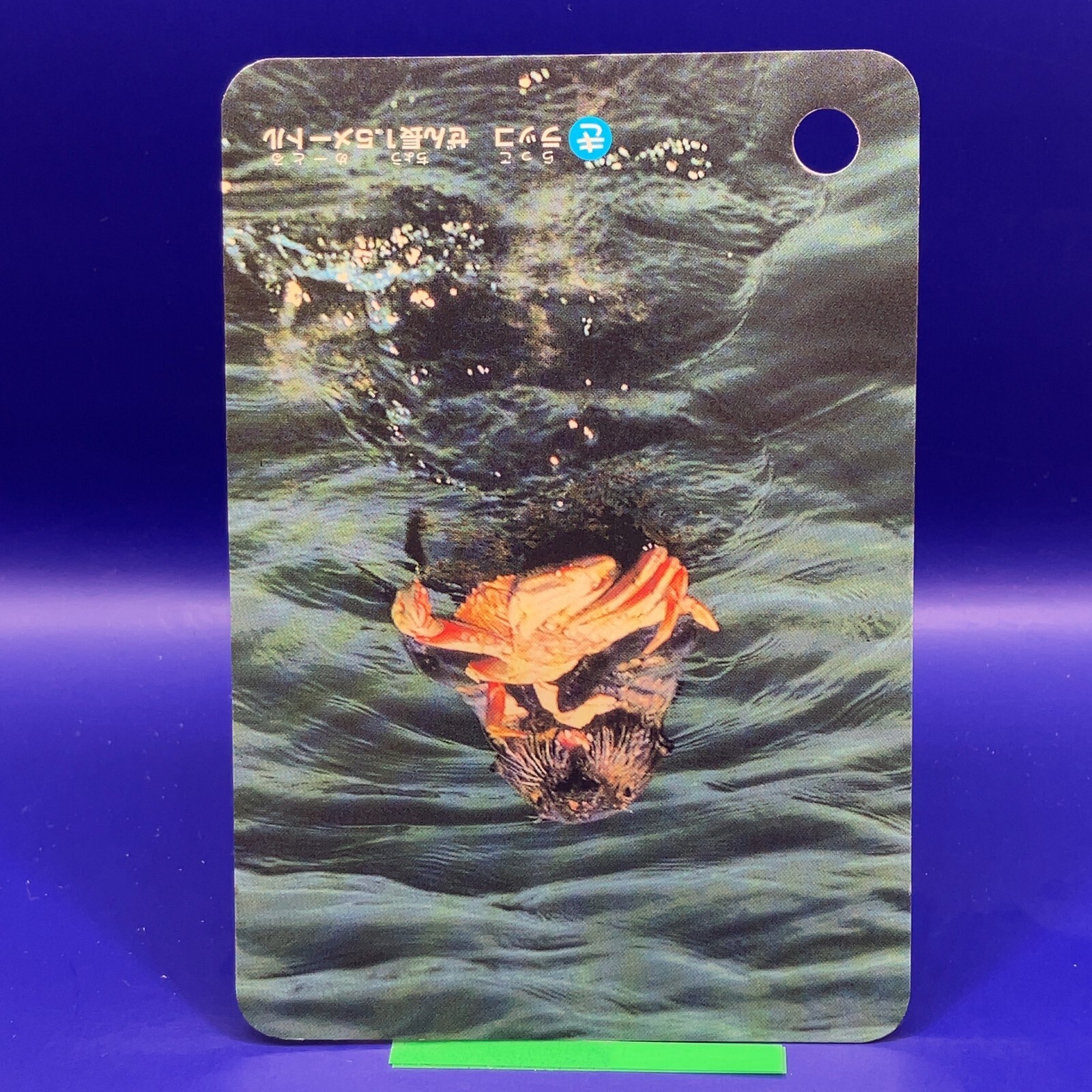 Animal Card Fish Sea Creatures 4.25 x 2.75 Inch Made in Japan Japanese ...