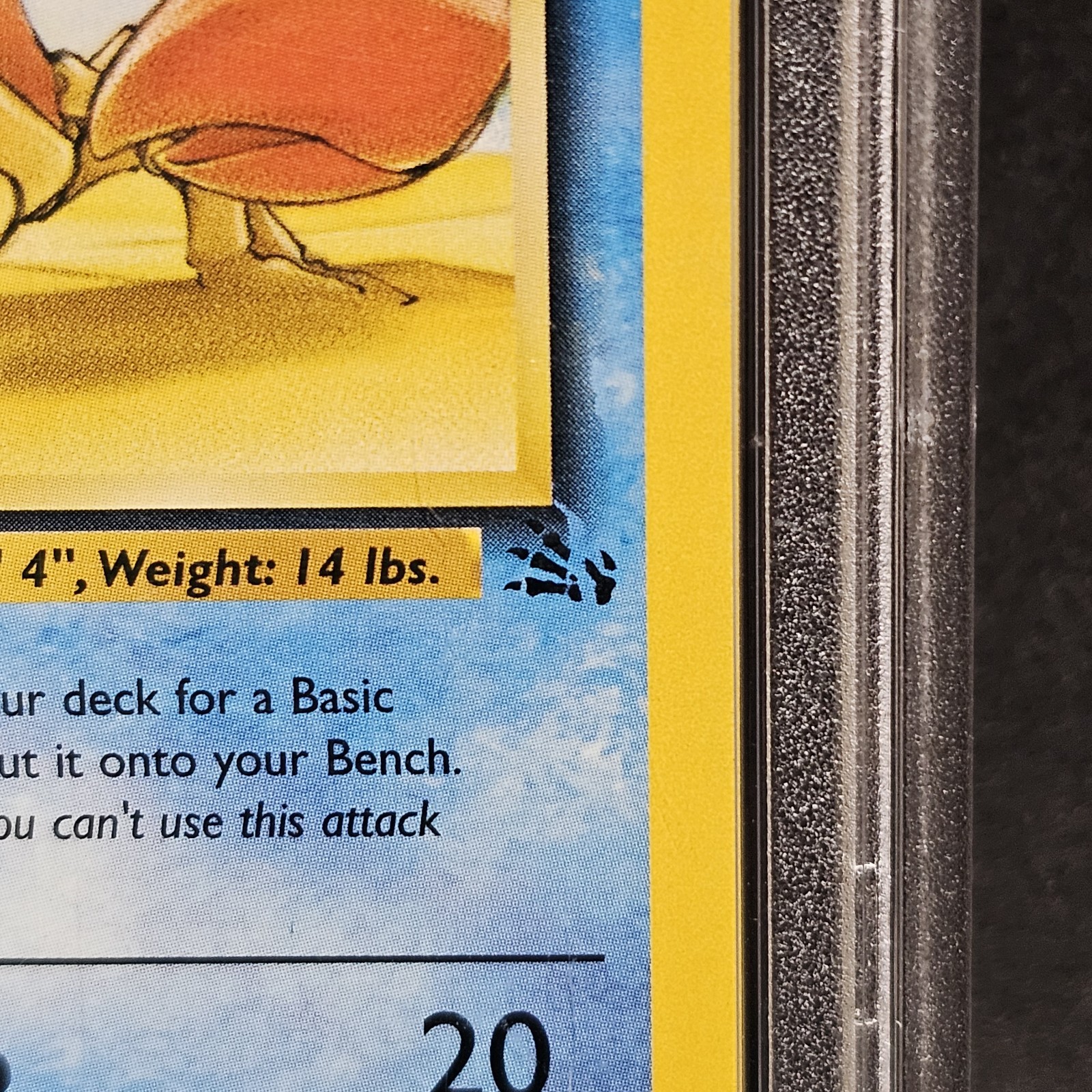 Krabby 51/62 - Fossil Symbol Slash Error Misprint - PSA 8 Pokemon | eBay