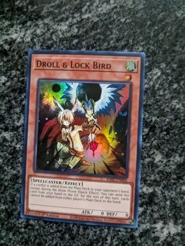Droll & Lock Bird 1st Edition Super Rare RA02-EN006 | eBay