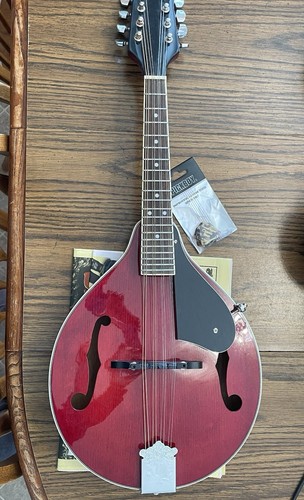 Hohner Acoustic Mandolin | eBay