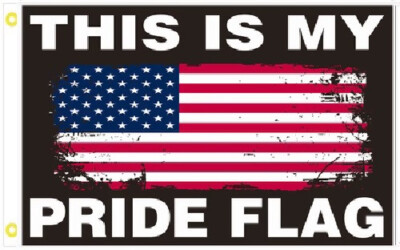3X5 THIS IS MY PRIDE FLAG USA INFIDEL MILITARY FLAG BANNER 100D W ...
