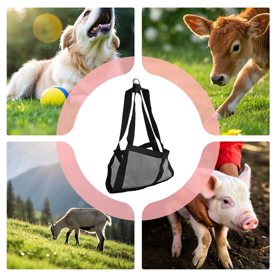 Calf Scale Sling Nylon Weight Scale Slings For Small Animals ...