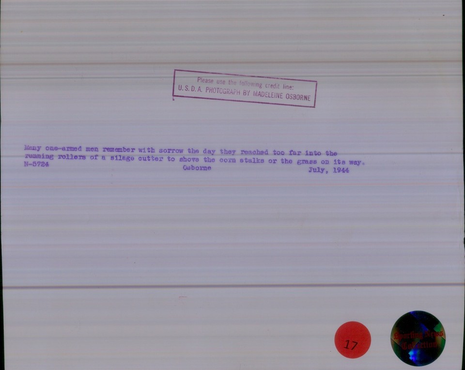 LG839 1944 Orig Madeleine Osborne Photo SILAGE CUTTER Man Shoving Grass ...