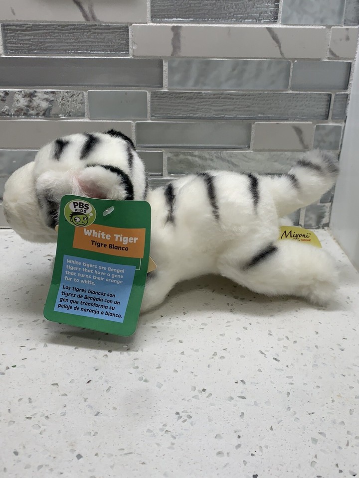 Myoni by Aurora White Tiger cub Blue Eyes Ivory White w/ Black Stripes ...