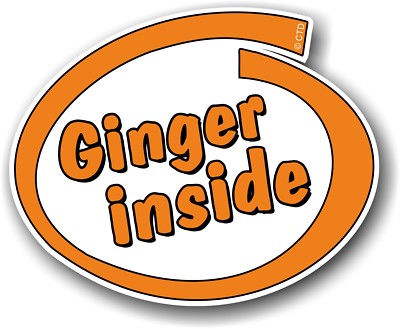 FUNNY Inside Oval Design With Ginger Inside Motif vinyl car sticker ...