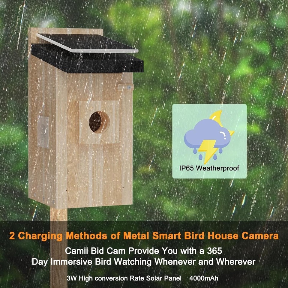 Bird House with Camera, 5MP Smart Birdhouse Camera with Solar Powered ...