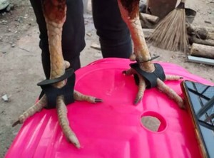 saerd_99 | eBay Stores