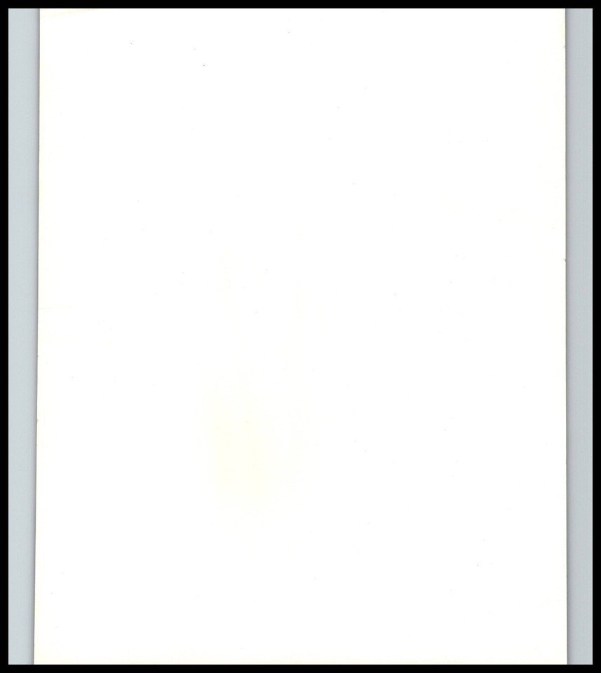 Hollywood Beauty JAYNE MANSFIELD CHEESECAKE SEDUCTIVE POSE 1950s ORIG ...