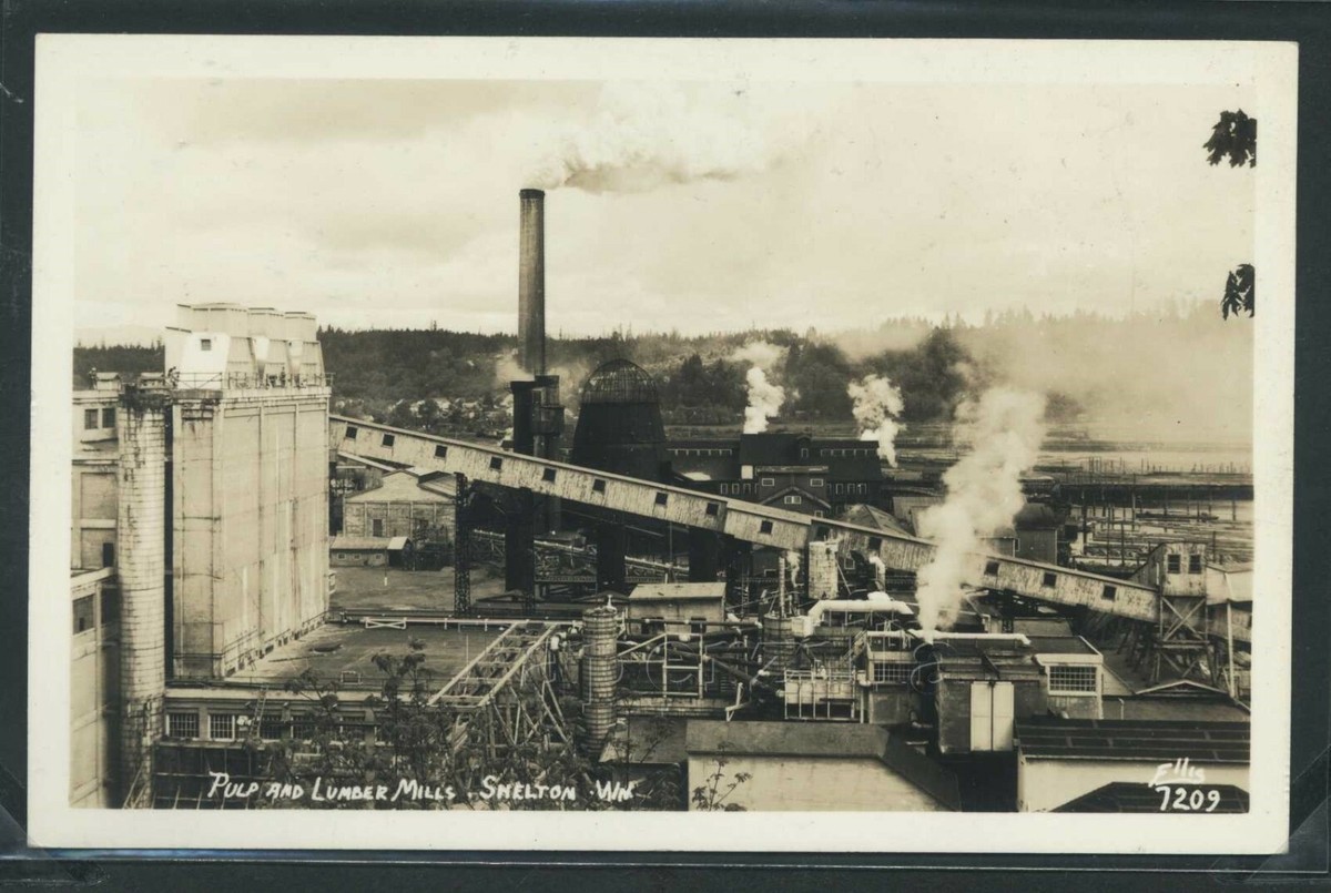 Simpson Shelton Lumber Company Simpson Logging Company Historical