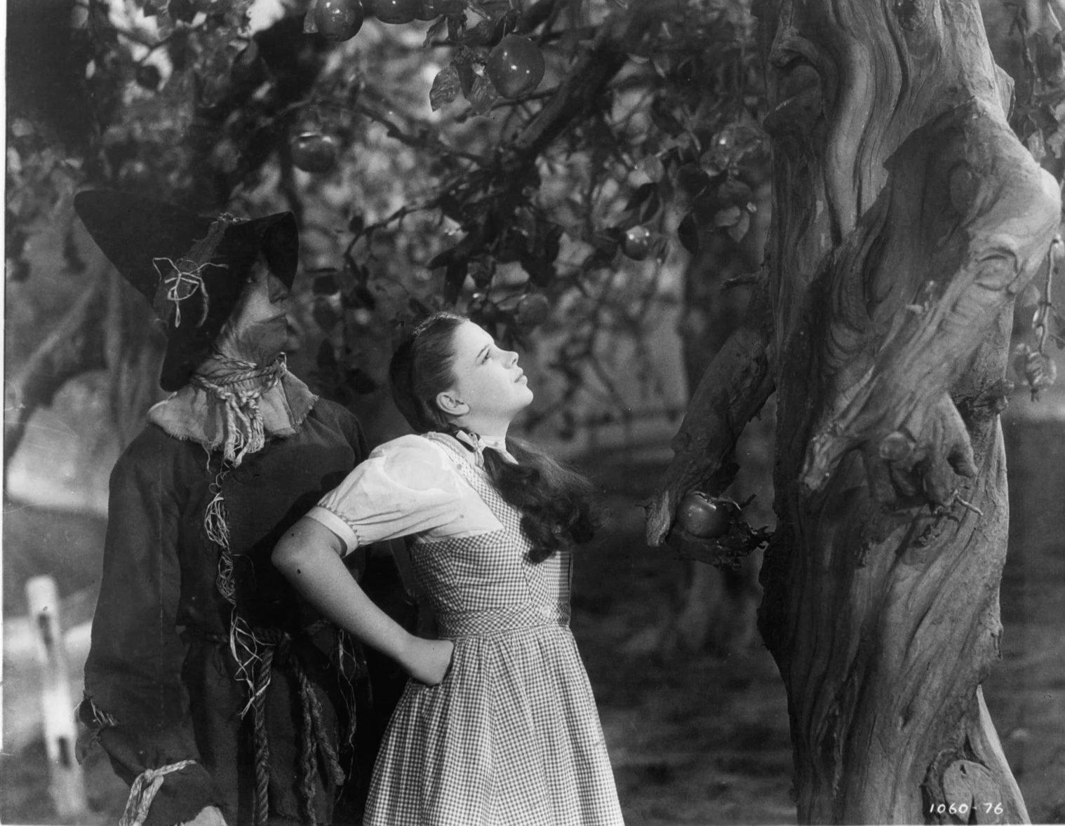 Wizard Of Oz Haunted Forest Judy Garland Dorothy Scarecrow Photo 8.5x11 ...