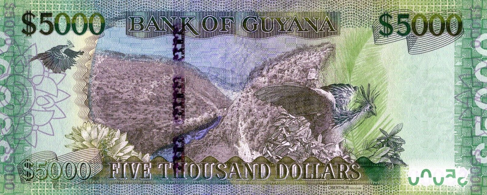 guyana 5000 dollars unc. pk-40 a | eBay