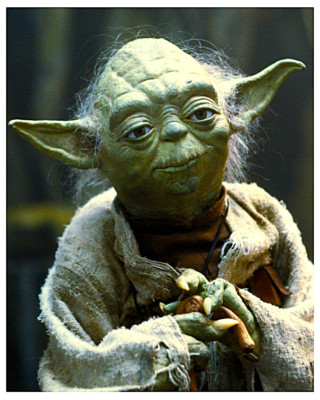 YODA STAR WARS 8"x10" Photograph | eBay