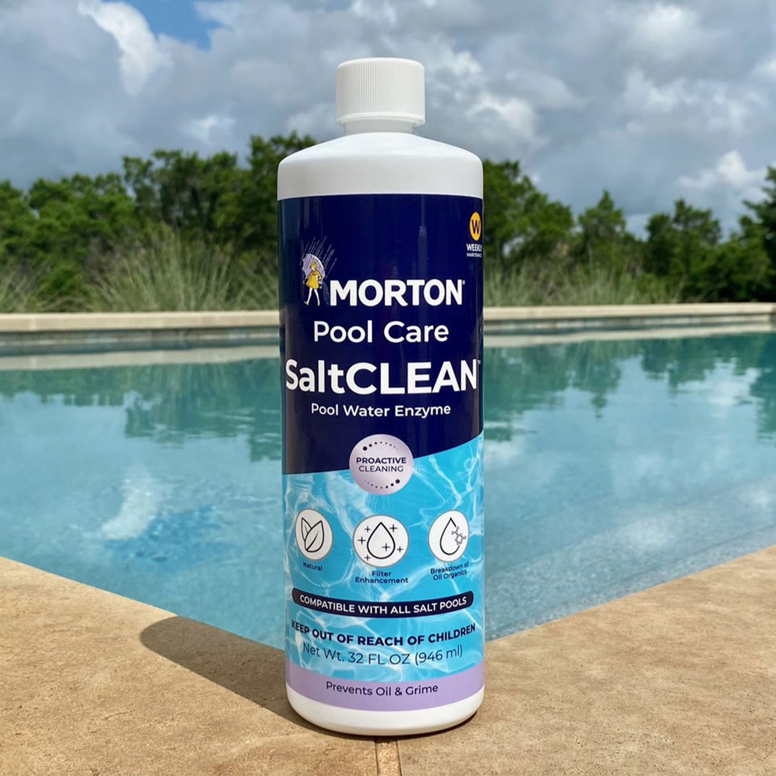 Morton Pool Care SaltCLEAN Salt Water Swimming Pool Water Enzyme, 32 Oz ...