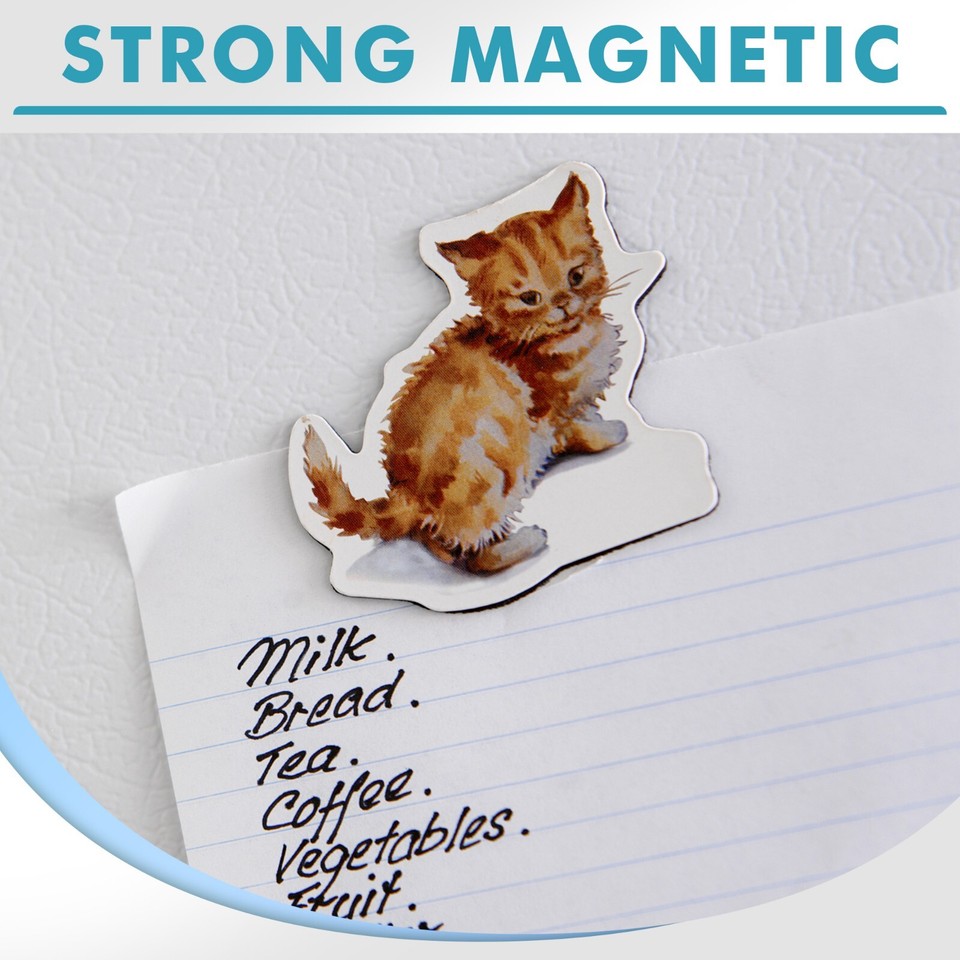 Strong Flexible Self Adhesive Magnetic Sheet 5x7 Photo Magnet Sheets 20 ...