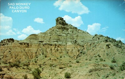 Sad Monkey Palo Duro Canyon Near Amarillo, Texas Postcard. | eBay