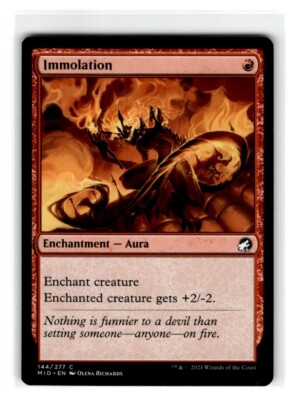 MTG Magic The Gathering Immolation Common Moderately Played | eBay