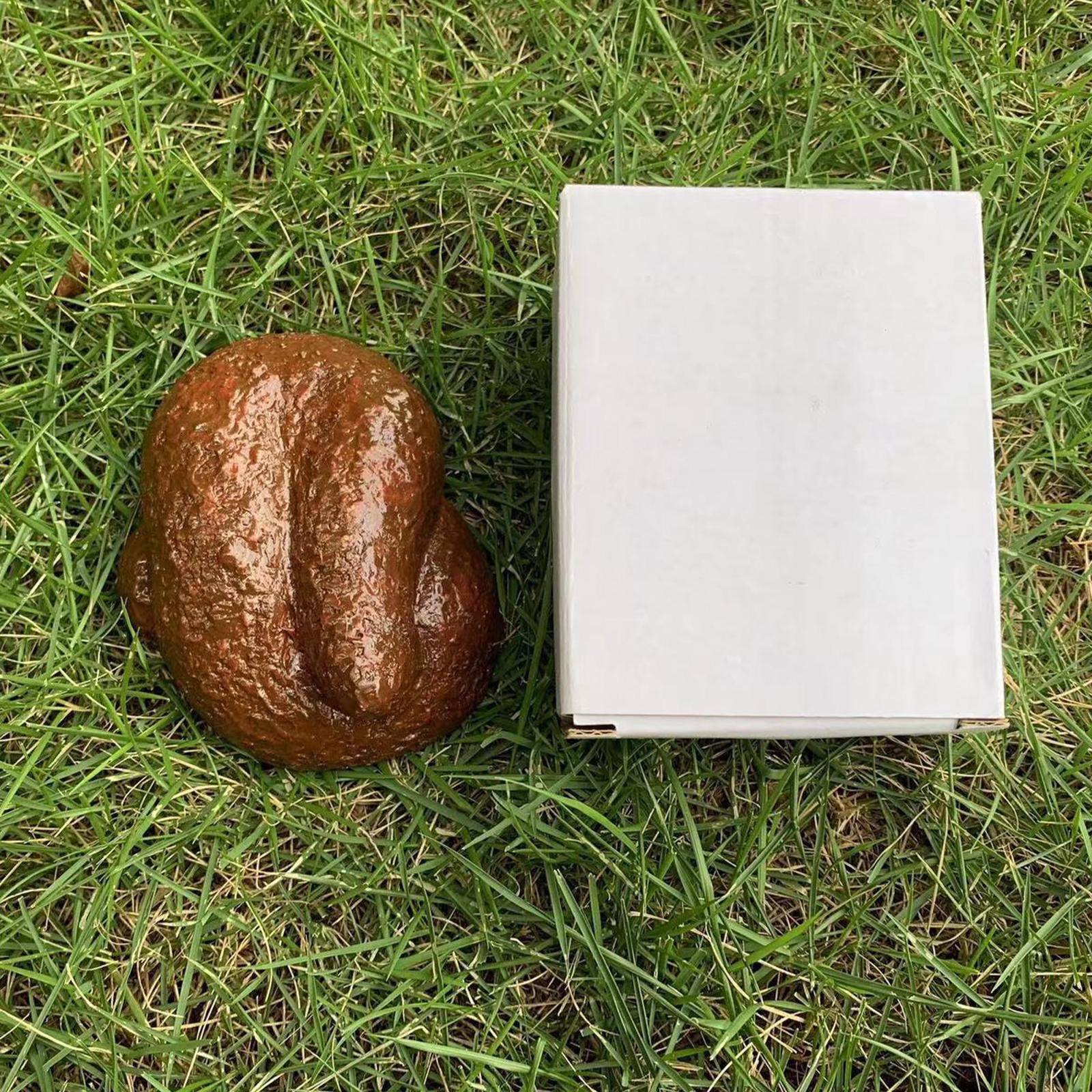 Spare Key Hider Resin Poop Shape Key Holder for Spare Keys Weatherproof ...