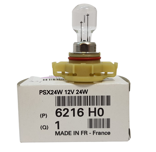 Ampoule PEUGEOT 208 6216H0 Neuf Authentique | eBay
