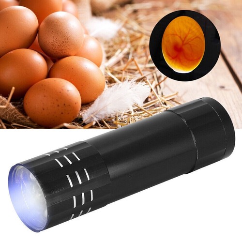 Egg Incubator Tester Candling Lamp 9 Light Bright Cold Hatching Poultry ...