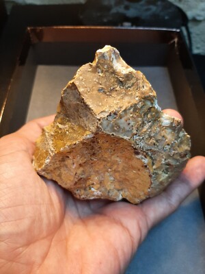 Neolithic & Paleolithic - Neanderthal Artifact