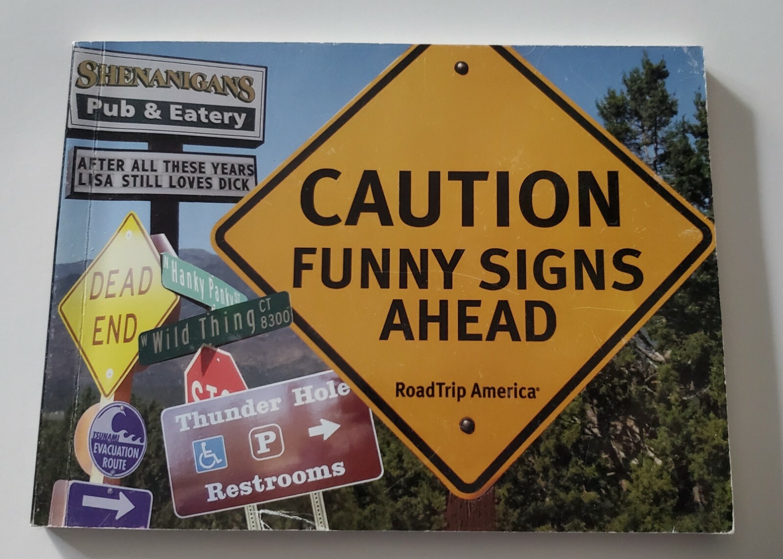 Funny Road Signs Poster