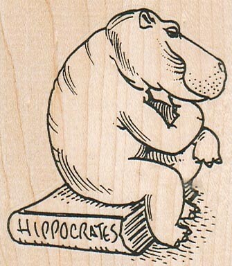 Hippocrates Hippo 2 1/2 x 2 3/4" Rubber Stamp, Animal Stamp, Funny ...