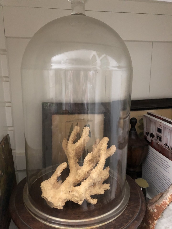 Vintage Rare Tall 17 Inch Pyrex Glass Bell Jar Apothecary Dome Cloche ...