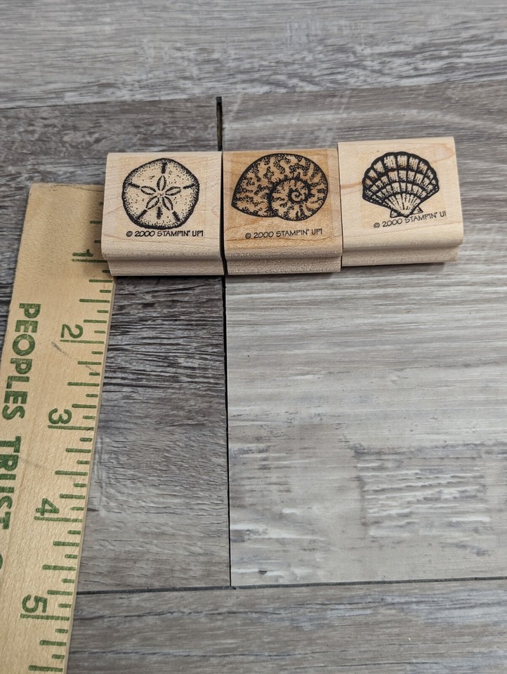 Stampin' Up! Rubber Stamp Set Stipple Shells Wood Mount | eBay
