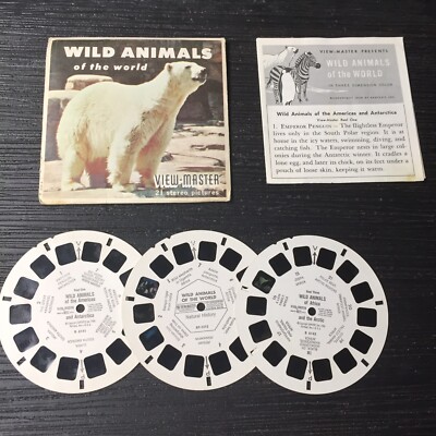 Vintage View-Master 3-Reel Set Wild Animals Of The World Bear Complete ...