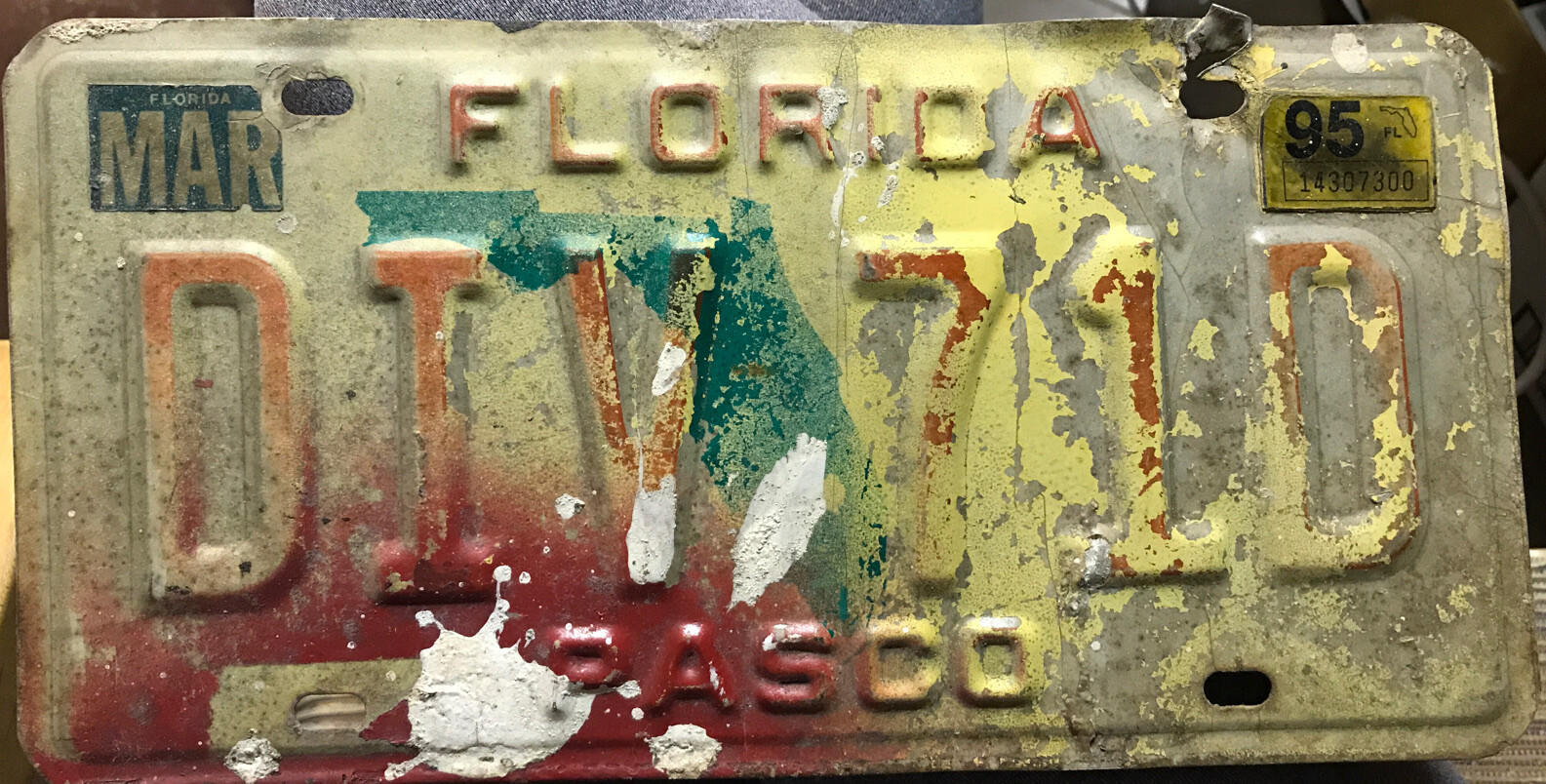 State Of Florida Pasco License Plate | eBay