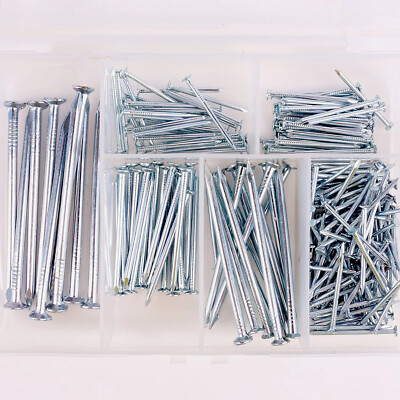 250 Pcs Assorted Flat Head Nails DIY Wood Carpentry Pins Nail Metal ...