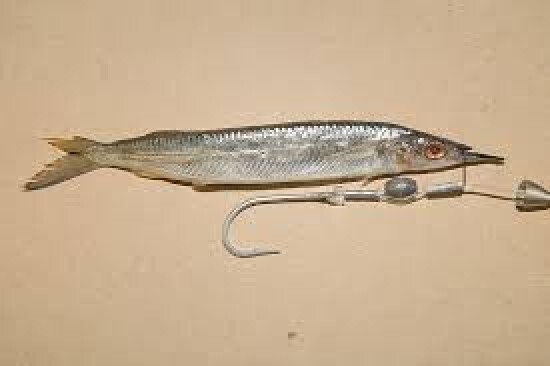 5 Pack Ballyhoo Pin Rig Stainless Steel Bait Spring 7/0 100 lb Mono ...