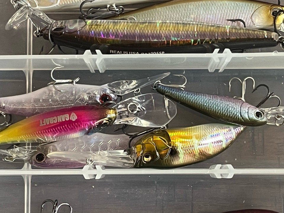 Massive Jerkbait and Shad Lure Lot (28 Total Lures) Megabass, Duo ...