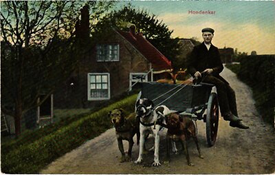 PC DOG CARTS DOGCARTS HONDENKAR NETHERLANDS (a46954) | eBay